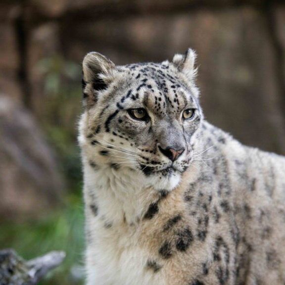 Education | Buffalo, NY | The Buffalo Zoo
